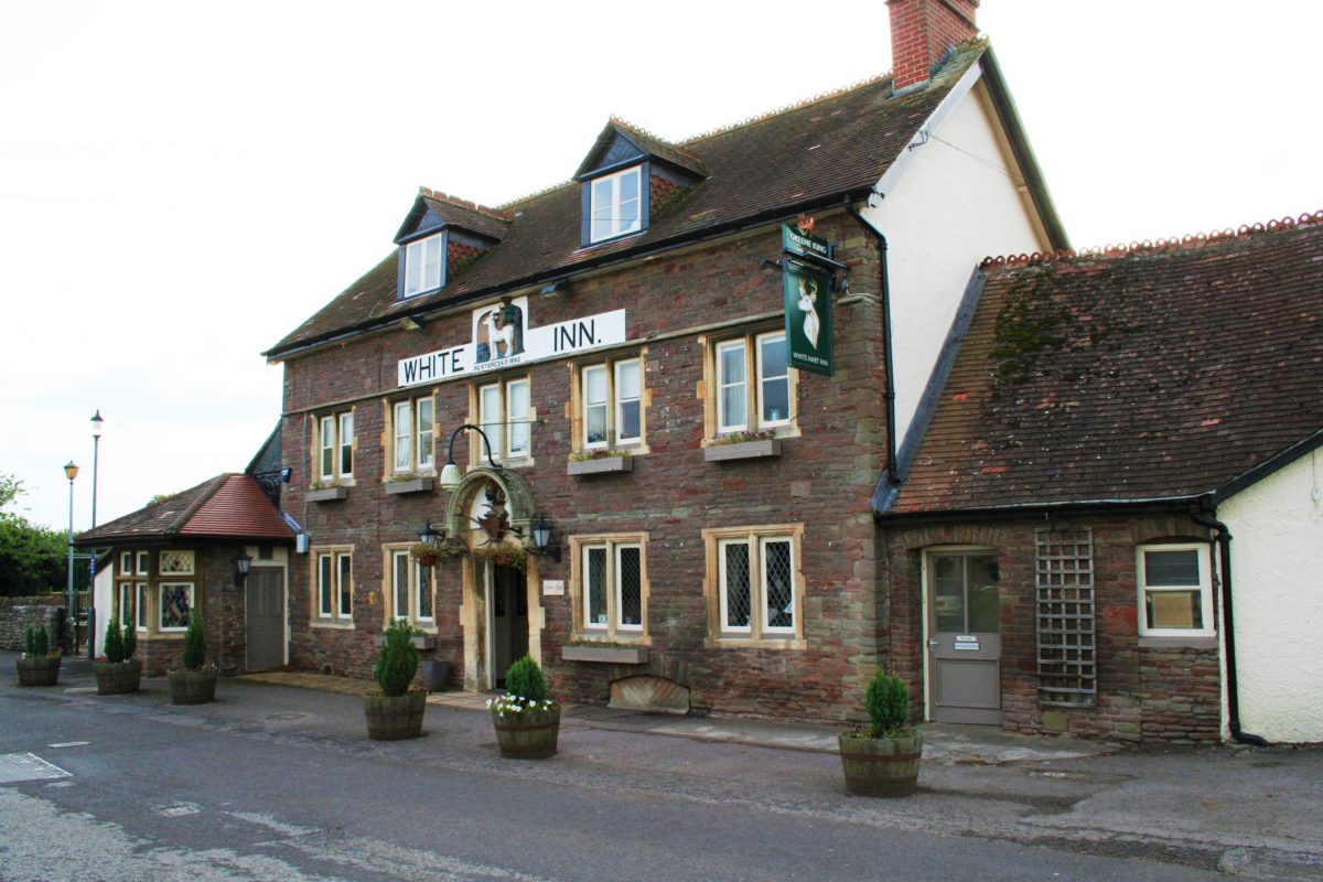 Gallery - The White Hart